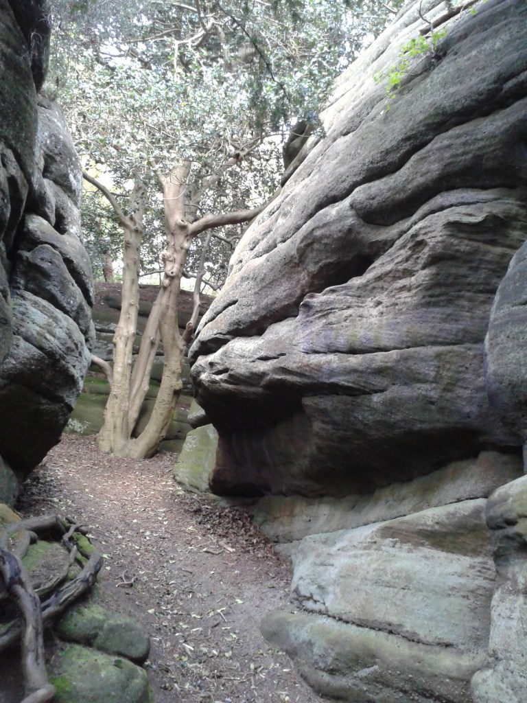 The romantic landscape and history of Plumpton Rocks – Helena Fairfax